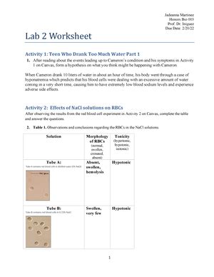 Lecture Notes Protein Synthesis BIOL Lecture Notes I Protein Synthesis A Overview