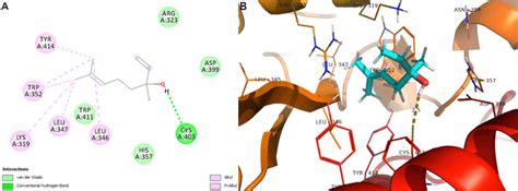molecular docking analysis a two dimensional interactions b