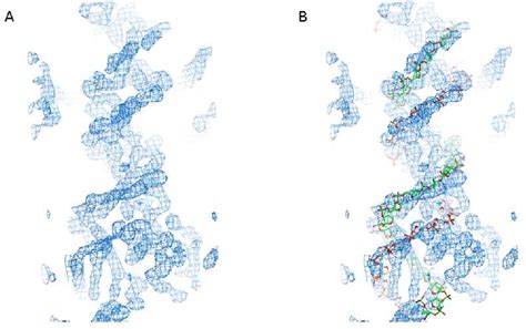 Figure 34 From A Role For Setmar In Gene Regulation Insights From