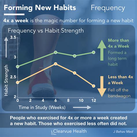 The Science Of Habit Formation