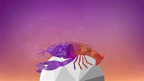 Official Ubuntu Wallpaper