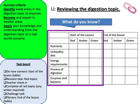 Ks3 Digestion Revision Teaching Resources