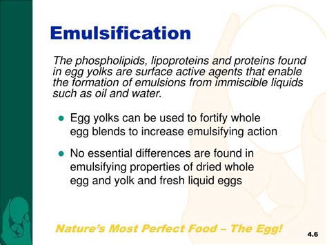 Ppt Eggs As A Functional Emulsifier Powerpoint Presentation Free Download Id 3643231
