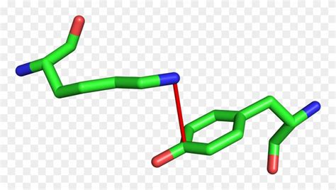 Π Cation Interactions Are Possible Between Positively Cation Pi Interaction Tyr Clipart