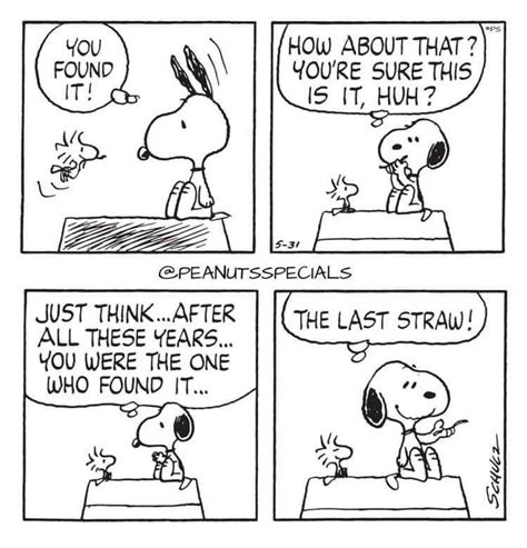 Pin By Susan Stewart On Snoopy And The Gang Snoopy Cartoon Snoopy Comics Charlie Brown