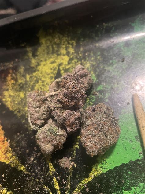 Oreo Runtz 🔥🔥🔥🔥🔥 Rtrees