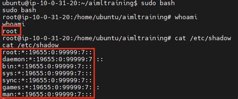 How To Exploit A Generative Ai Chatbot Using Prompt Injection
