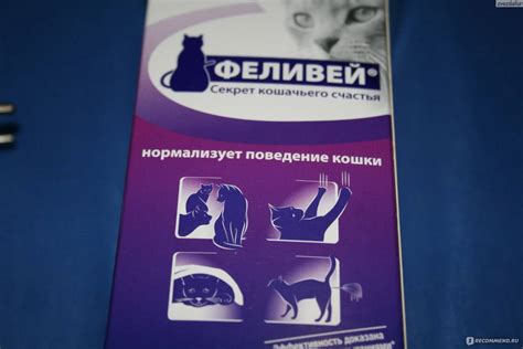 Феливей для кошек: инструкция по применению, отзывы, аналоги