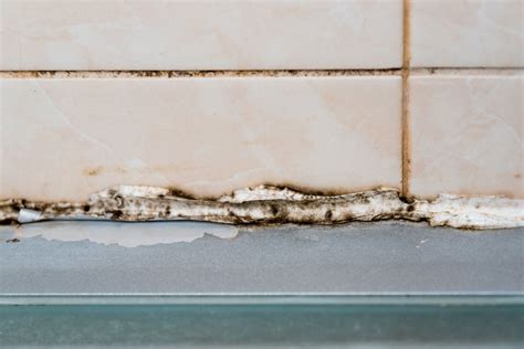 How To Remove Black Mould From Silicone Sealant Naturally