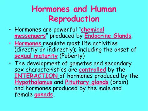 Ppt Human Reproductive System Hormones Powerpoint Presentation Free
