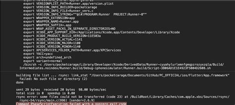 Iosflutterappframework Failed No Such File Or Directory 2 Done