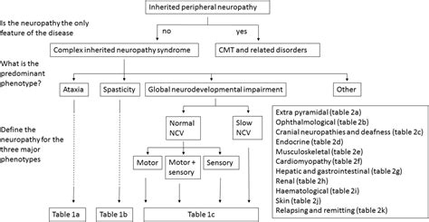 What Is Sensory Motor Peripheral Neuropathy