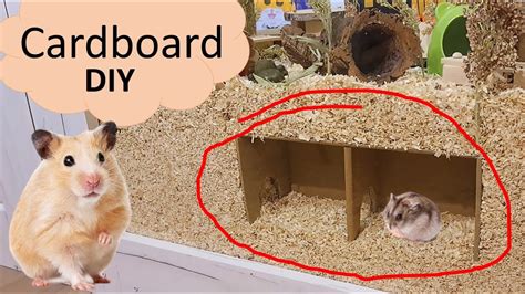 Diy Hamster Hideout Cardboard