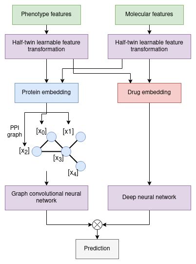 Full Dti Prediction Model Based On The Pretrained Learnable Feature