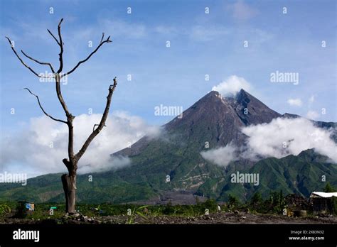 Mount Merapi A Cone Shaped And Most Active Type Of Volcano In