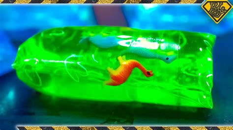 Wacky Ways We Wrecked Water Wigglers Youtube