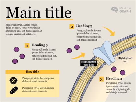 Neuron Synapses Infographic Templates