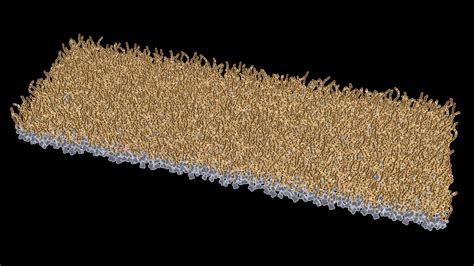 3d Animated Cell Membrane Turbosquid 2270740