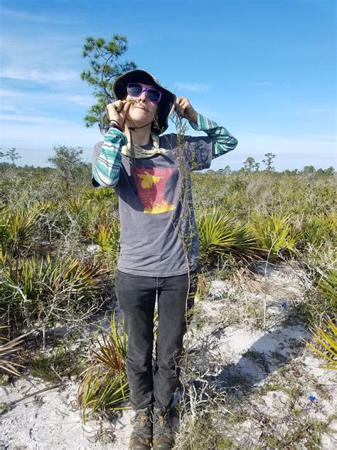 Polygonella Myriophylla Woody Wireweed Fsus