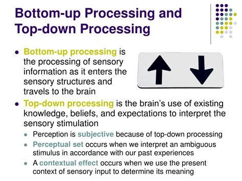 Ppt Sensation And Perception Powerpoint Presentation Free Download Id442531