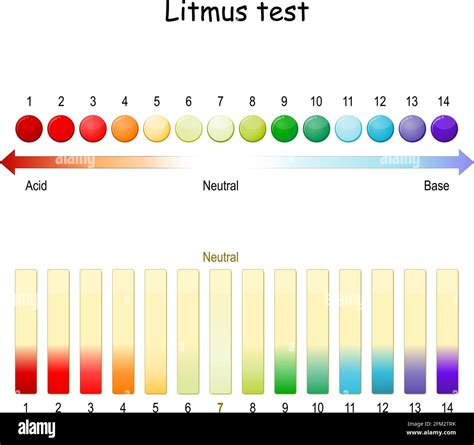 Ph Scale