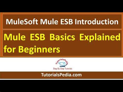 MuleSoft Mule ESB Introduction Mule ESB Basics Explained For Beginners What Is MuleSoft ESB