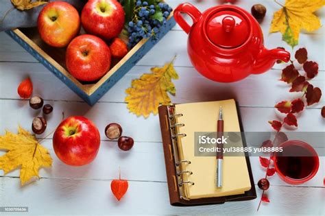 빨간 주전자가을 Mockupempty 노트북 및 차 컵 Mahonia 빨간 사과 밤 노란 오크 및 단풍나무와 트레이 나무 블루 보드 배경에 나뭇잎 가 차입니다 가 시간 10