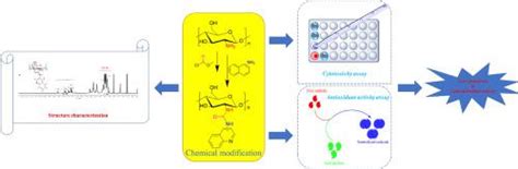 Preparation And Antioxidant Activity Of Novel Chitosan Oligosaccharide