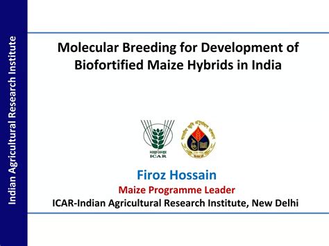 Molecular Breeding For Development Of Biofortified Maize Hybrids In India Ppt
