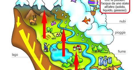 Vivacemente Il Giornalino Del Cuore E Della Mente Il Ciclo Idrologico