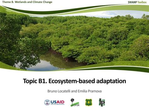B1 Ecosystem Based Adaptation Ppt Agriculture Industries
