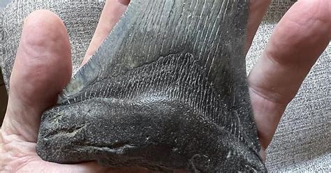 Another Hobby Rocks Crystals Fossils Album On Imgur