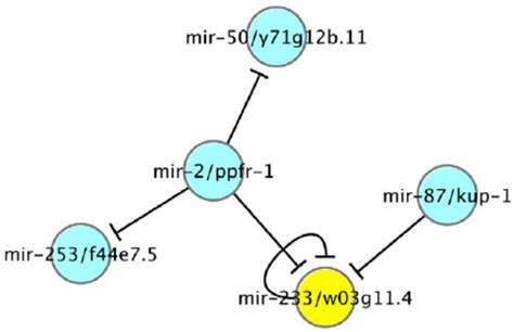 Intra Regulation Among Mirnahost Gene Pairs In C Elegans The Download Scientific Diagram