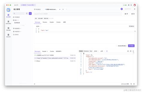 调试 websocket api 技巧分享 apifox测试websocket csdn博客