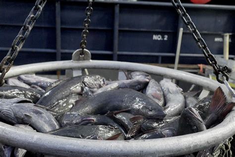 Behind The Scenes Photos Of The Deadliest Catch Captains Discovery
