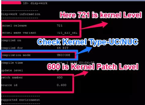 How To Check Sap Kernel Unicode And Non Unicode Sap Basis 1 Solution