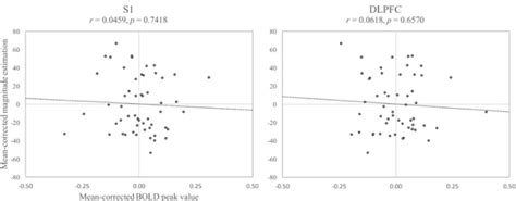 Responses Of The Magnitude Estimation Task