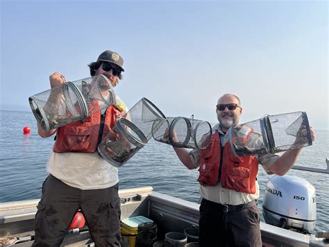 Fisheries Staff Collect Round Goby At Lake Trout Spawning Reef FWS Gov