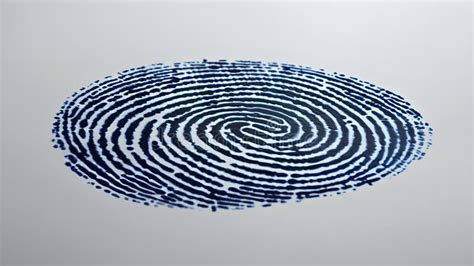 Cyber Security And Data Protection Symbol Fingerprint Motif Concept Cyber Security Data Stock