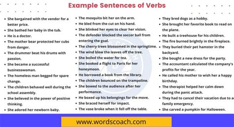 100 Example Sentences Of Verbs Word Coach