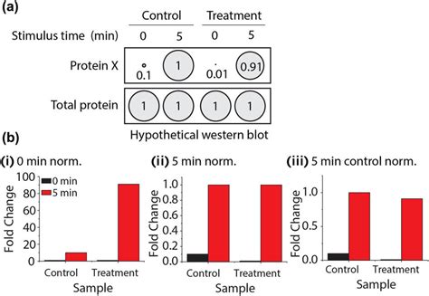 Normalization Methodology Can Influence Result Interpretation A Download Scientific Diagram