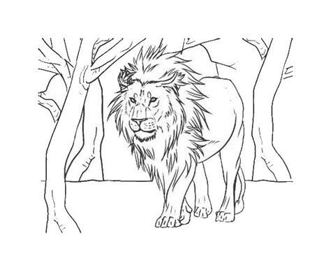 사자 색칠 공부 Kr에서 무료 색칠 공부