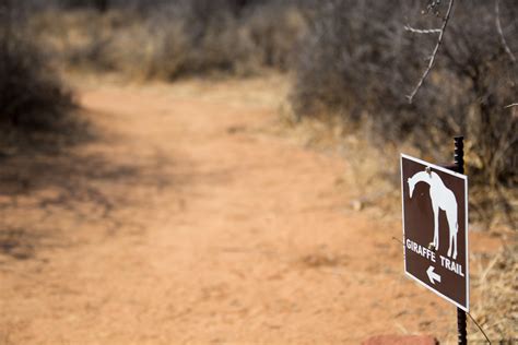 The Giraffe Trail In Okonjima Namibia Hiking The World
