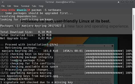 Manjaroarch Linux Beginning Pacman Dswsis Data Bit