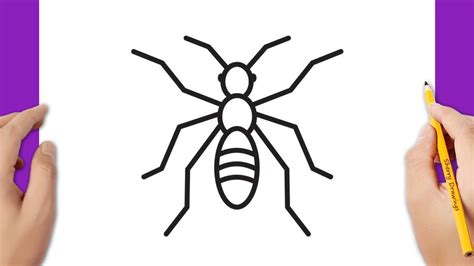 Easy Ant Drawing Ideas How To Draw An Ant