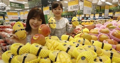 맛있는 열대과일 망고