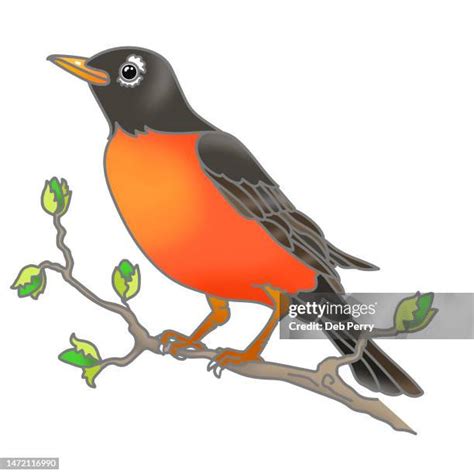 Robin Cartoon Bilder The Animated History Of Every Robin Dc Comics
