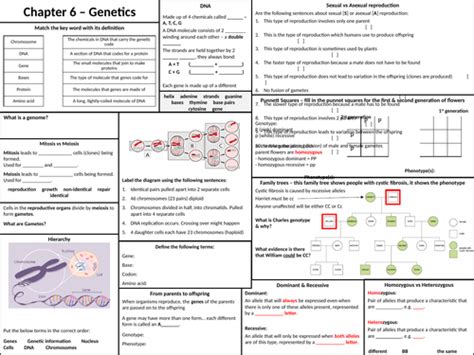 Genetics Revision Broadsheet Aqa Gcse Ks4 Teaching Resources