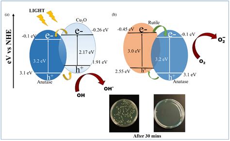 Cu Doped Tio2 Visible Light Assisted Photocatalytic Antimicrobial Activity