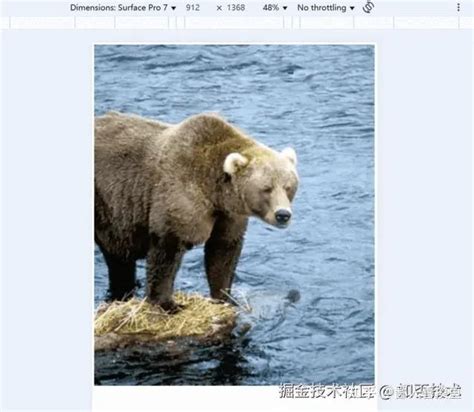 大厂都在用的 个css高级技巧我敢说你最多只用过 个不服来辩 知乎
